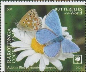 Stamp: Adonis Blue Butterfly (Lysandra bellargus) (Cook Islands ...