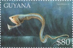 Stamp: Gulper Eel (Saccopharynx sp.) (Guyana(Marine Fauna) Mi:GY 6773 ...