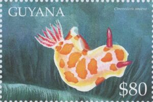 Stamp: Sea Slug, Chromodoris amoena (Guyana(Marine Fauna) Mi:GY 6774,Sn ...