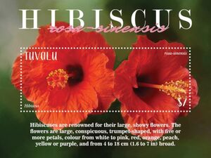Stamp: Hibiscus 2021 souvenir sheet (Tuvalu(Flowers - Hibiscus) Mi:TV ...