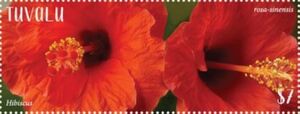 Stamp: Hibiscus (Hibiscus rosa-sinensis) (Tuvalu(Flowers - Hibiscus) Mi ...