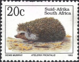 Stamp: Southern African Hedgehog (Atelerix frontalis) (South Africa ...