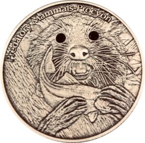 Coin: 10 Dollars (Raccoon - Procyon "Predatory Mammals") (Fiji(1969 ...