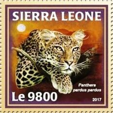 Stamp: African Leopard (Sierra Leone(African Leopard (2017)) Mi:SL 9217 ...