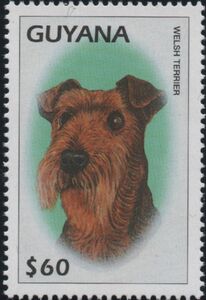Stamp: Welsh Terrier (Guyana(Dogs of the World) Mi:GY 6053,Sn:GY 3229 ...