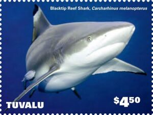 Stamp: Blacktip Reef Shark (Tuvalu(Sharks) Mi:TV 2075