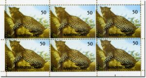 Stamp: Leopard (Zambia: Cinderella Stamps(Barotseland) Col:ZM-BR 2012-07