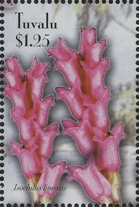 Stamp: Isochilus linearis (Tuvalu(Orchids (2003)) Mi:TV 1148,Sn:TV 927c ...