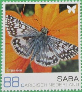 Stamp: Tropical Checkered Skipper (Pyrgus oileus) (Saba(Butterflies ...