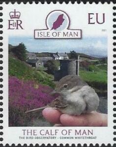 Stamp: Calf of Man Bird Observatory : Common Whitethroat (Isle of Man ...