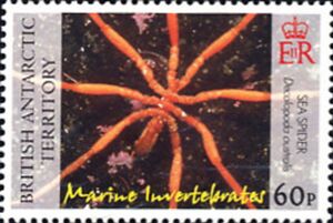 Stamp: Sea Spider (Decolopoda australis); see description (British ...