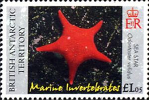 Stamp: Odontaster validus (sea star) (British Antarctic Territory (BAT ...