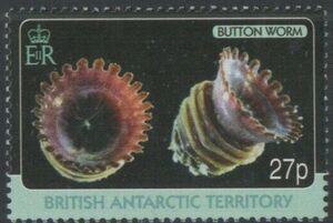 Stamp: Button Worm (British Antarctic Territory (BAT)(Marine ...