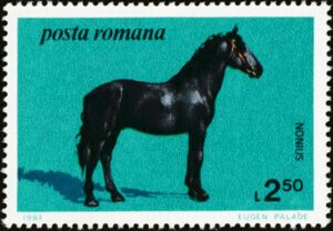 Stamp: Nonius (Equus ferus caballus) (Romania(Horses (1984)) Mi:RO 4080 ...