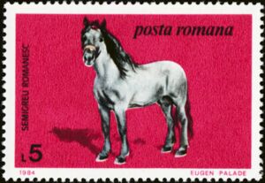 Stamp: Semigreu Romanesc (Equus ferus caballus) (Romania(Horses (1984 ...