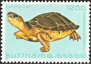 Stamp: Spot-legged Turtle (Rhinoclemys punctularia) (Suriname(Turtle ...