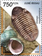 Stamp: Green Turban (Turbo marmoratus), Drotops megalomanicus (Guinea ...