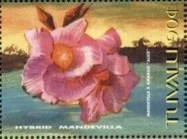 Stamp: Hybrid Mandevilla (Tuvalu(Flowers (1999)) Mi:TV 852,Sn:TV 811e ...