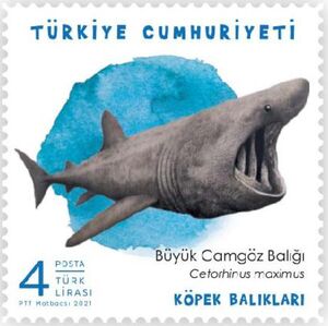 Stamp: Basking Shark (Cetorhinus maximus) (Türkiye (Turkey)(Sharks ...