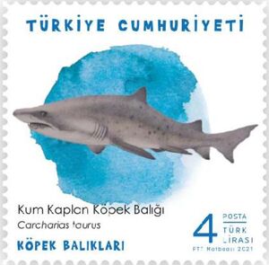 Stamp: Sand Tiger Shark (Carcharias taurus) (Türkiye (Turkey)(Sharks ...