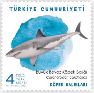 Stamp: Great White Shark (Carcharodon carcharias) (Türkiye (Turkey ...