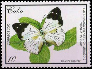 Stamp: Butterfly (Helcyra superba) (Cuba(Bangkok 2000 Butterflies) Mi ...