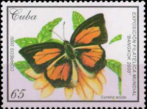 Stamp: Angled Sunbeam (Curetis acuta) (Cuba(Bangkok 2000 Butterflies ...