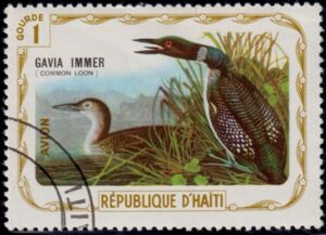 Stamp: Common Loon (Gavia immer) (Haiti: Cinderella Stamps(Birds) Col ...