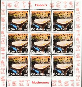 Stamp: Brown Roll-rim (Paxillus involutus) (Romania) (Mushrooms & Fungi ...