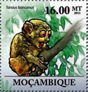 Timbre: Western Tarsier (Tarsius bancanus) (Mozambique(International ...