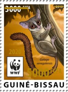 Stamp: Northern Lesser Galago (Galago senegalensis) surch. gold (Guinea ...