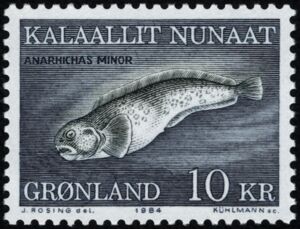 Stamp: Spotted Wolffish (Anarhichas minor) (GreenlandMi:GL 154,Sn:GL ...