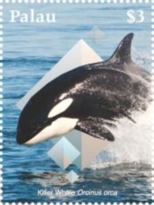 Stamp: Killer Whale (Orcinus orca) (Palau(Whales (2018)) Mi:PW 4112
