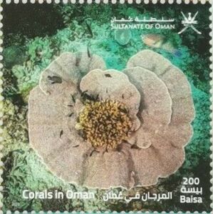 Stamp: Corals of Oman (Oman) (Corals of Oman (2021)) Yt:OM 837