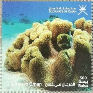 Stamp: Corals of Oman (Oman(Corals of Oman (2021)) Mi:OM 966,Sn:OM 675d ...