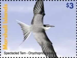 Stamp: Spectacled Tern (Onychoprion lunatus) (Marshall Islands(Birds of ...