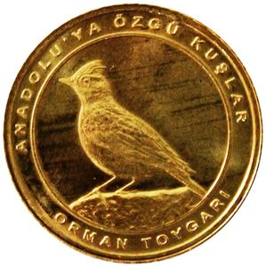 Coin: 1 Kuruş (Woodlark - Orman Toygarı) (Türkiye (Turkey)(2021 - Birds ...