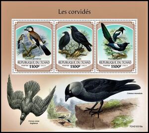 Stamp: Croes (Chad(Crows (2021)) Mi:TD 4897-4899KB,Yt:TD 3521-3523