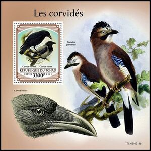 Stamp: Corvus corone/Corvus cornix (Chad(Crows (2021)) Mi:TD BL1046,Yt ...