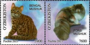 Stamp: Cats of Uzbekistan (Uzbekistan(Cats of Uzbekistan (2021)) Sn:UZ ...