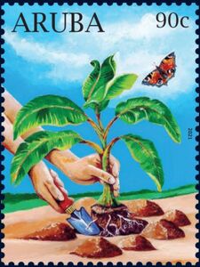 Stamp: Planting of a Tree (Aruba(Agriculture in Aruba) Sn:AW 669,Yt:AW 1107