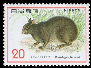Stamp: Amami Rabbit (Pentalagus furnessi) (Japan(Nature Conservation ...