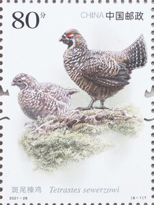 Stamp: Chinese Grouse (Tetrastes sewerzowi) (China, People's Republic ...