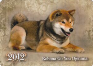 Pocket Calendar: Shiba inu (Russia(Dogs) Col:RUS-2012-Dog-137.02