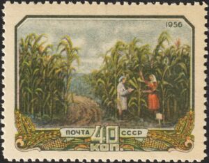 邮票: Corn Field (苏联(Agriculture in the USSR (1956)) Mi:SU 1878,Sn:SU ...