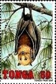 Stamp: Bat hanging from tree limb (Tonga(Sacred Bats of Kolovai) Mi:TO ...