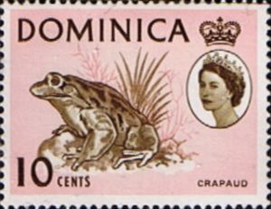 Stamp: Giant Ditch Frog (Leptodactylus fallax) (Dominica(Queen ...