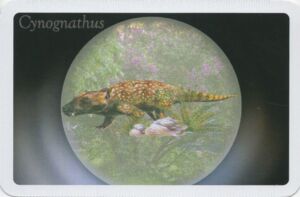 Calendario de Bolsillo: Cynognathus (España(Dinosaurus) Col:ESP-2010 ...