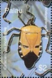 Stamp: Man-faced Stink Bug (Catacanthus incarnatus) (Palau(Insects ...
