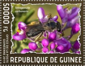 Stamp: Stingless Bee (Tetragonula carbonaria) (Guinea(Bees (2019:1)) Mi ...